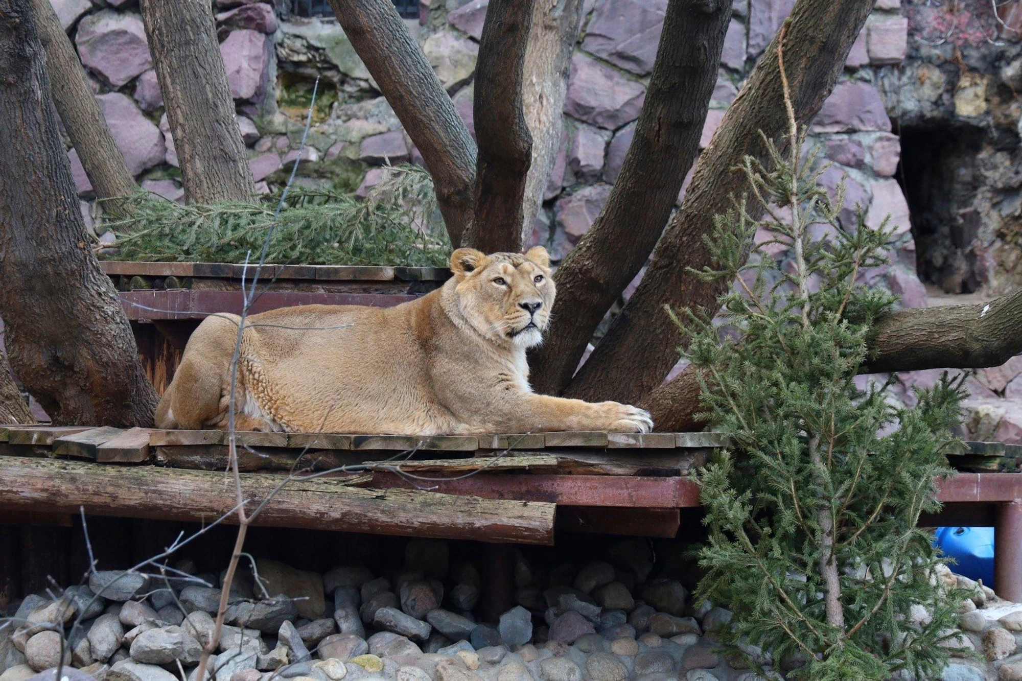 Куда сходить в Москве в мае 2025? Столица для всей семьи: афиша развлечений на май — от парков ...